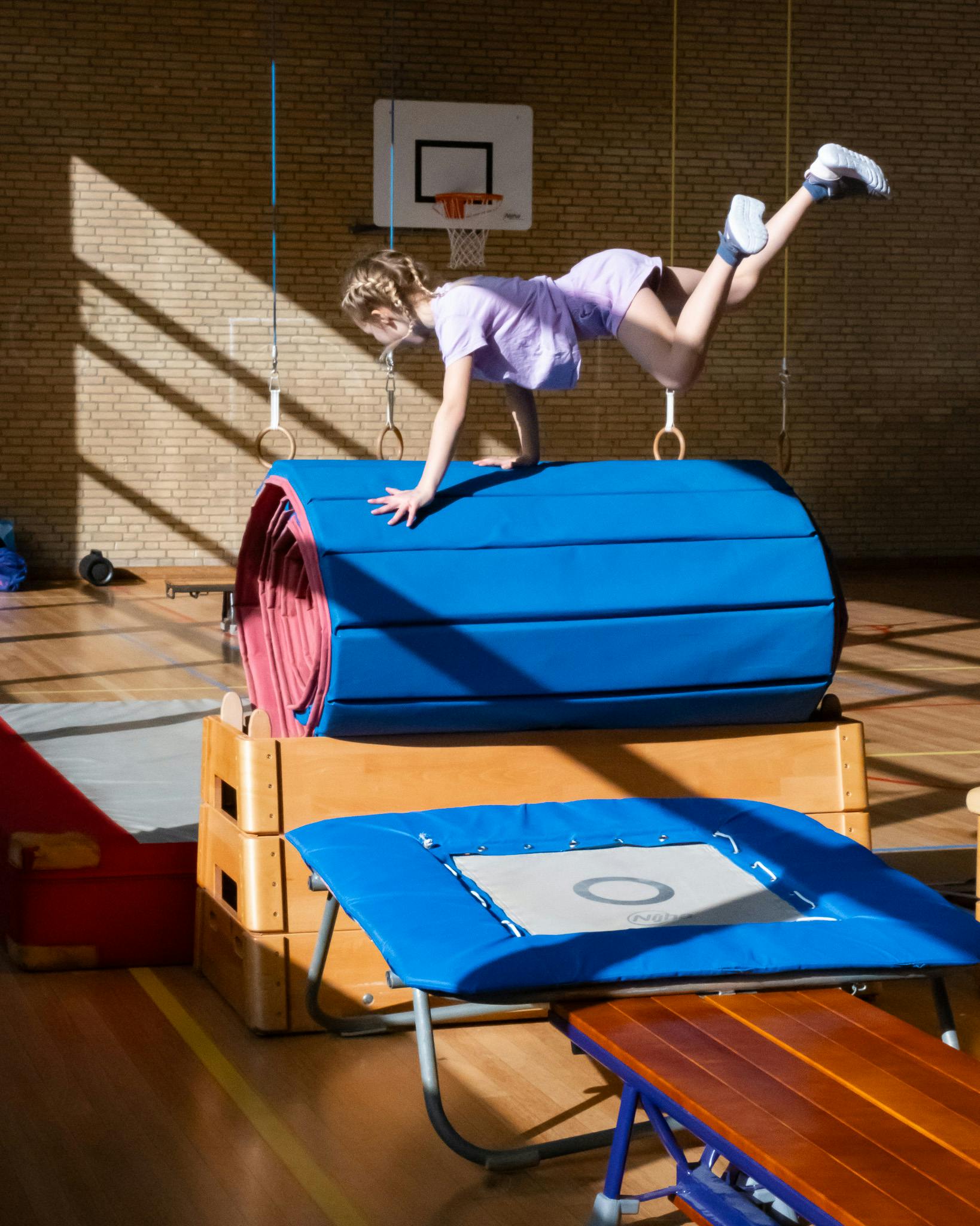 Ninja Warrior - Beweegpartner